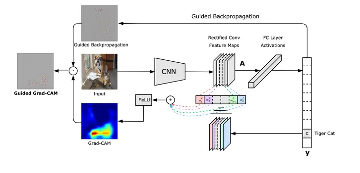 Building a Stable Diffusion Model from Scratch with PyTorch(Variational ...