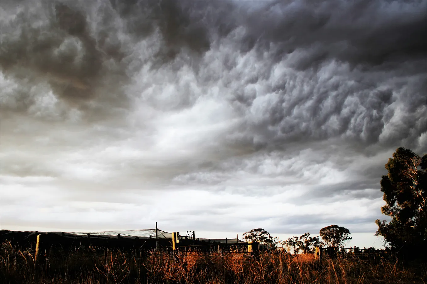 ️ slice() vs splice() in JavaScript , Array Manipulation Simplified | by Akiko Kawai | Jan, 2026 ...