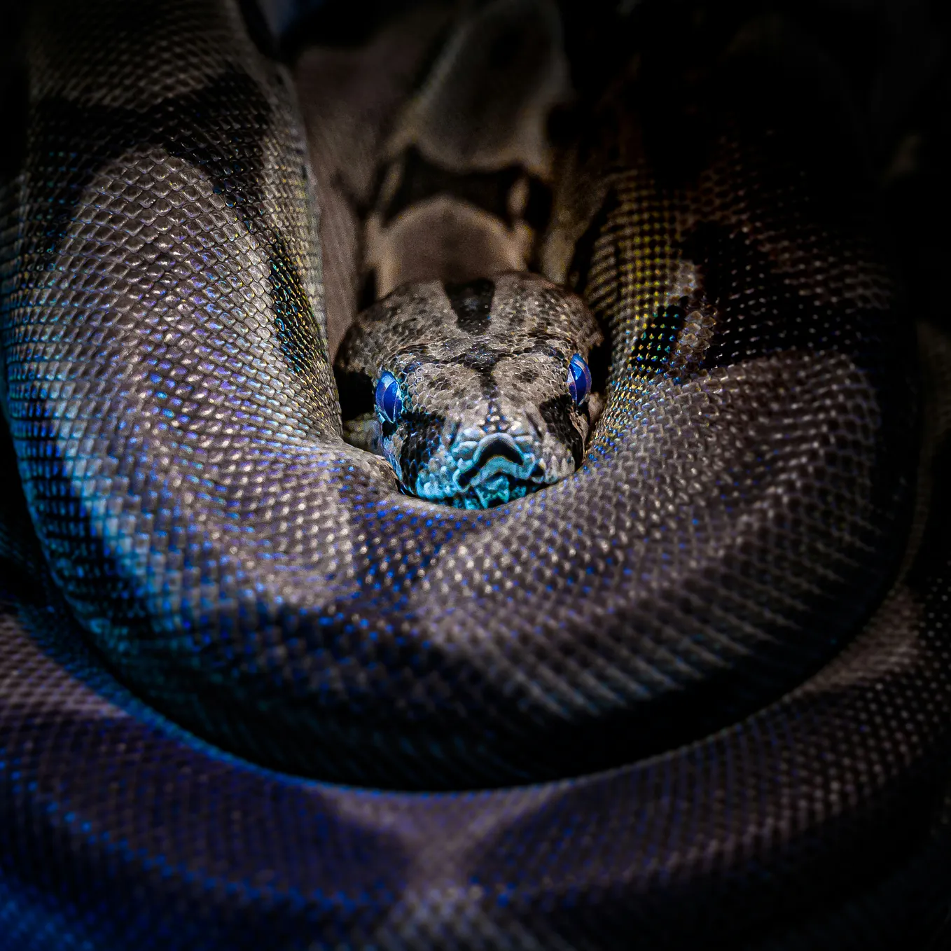 Fully Explained Git + Python Workflow with uv, ruff, and ty | by Gwang-Jin | Data Science ...