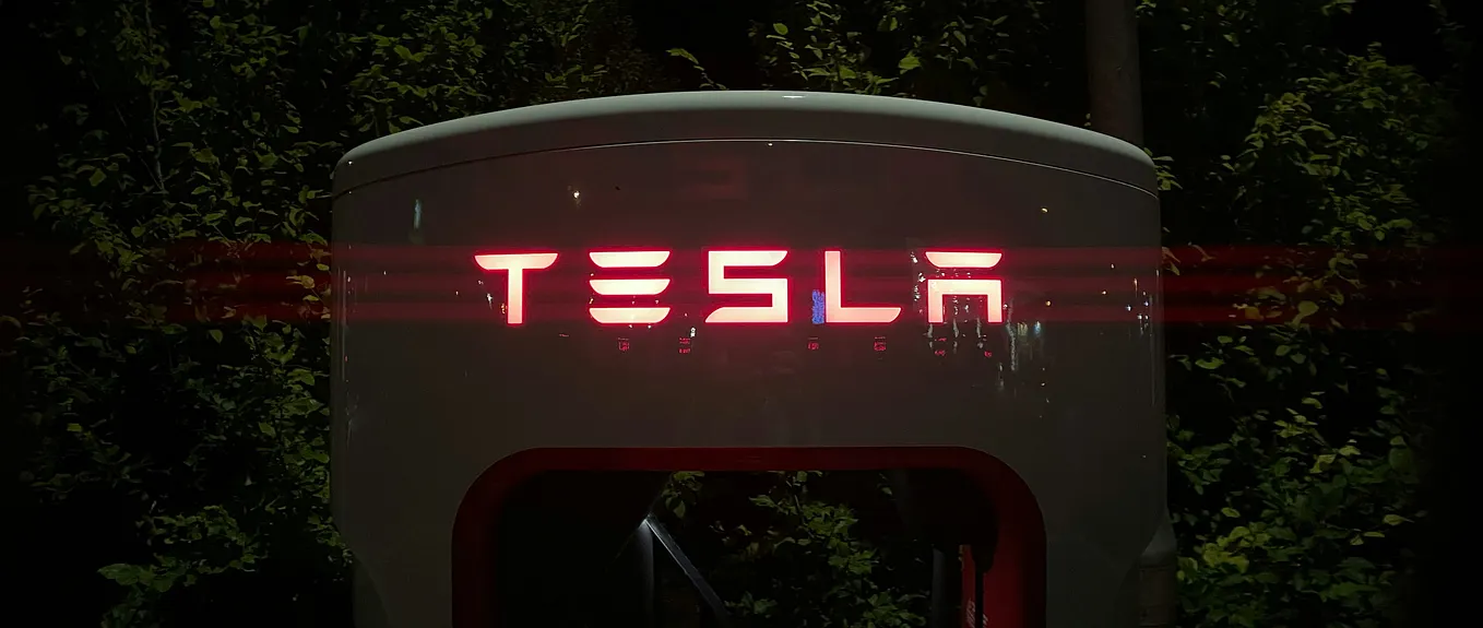 Dead Trees. A Story of Cosmic Horror | by A.F. Cosentino | Jan, 2026 ...