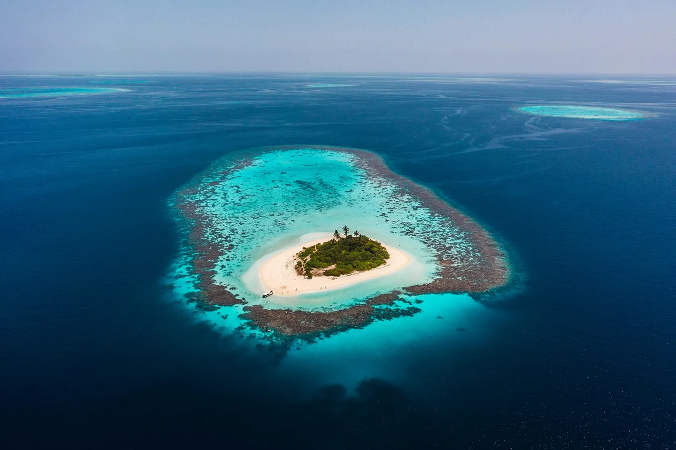 The 36 People Who Run Wikipedia. What the weirdest, wildest, most… | by ...