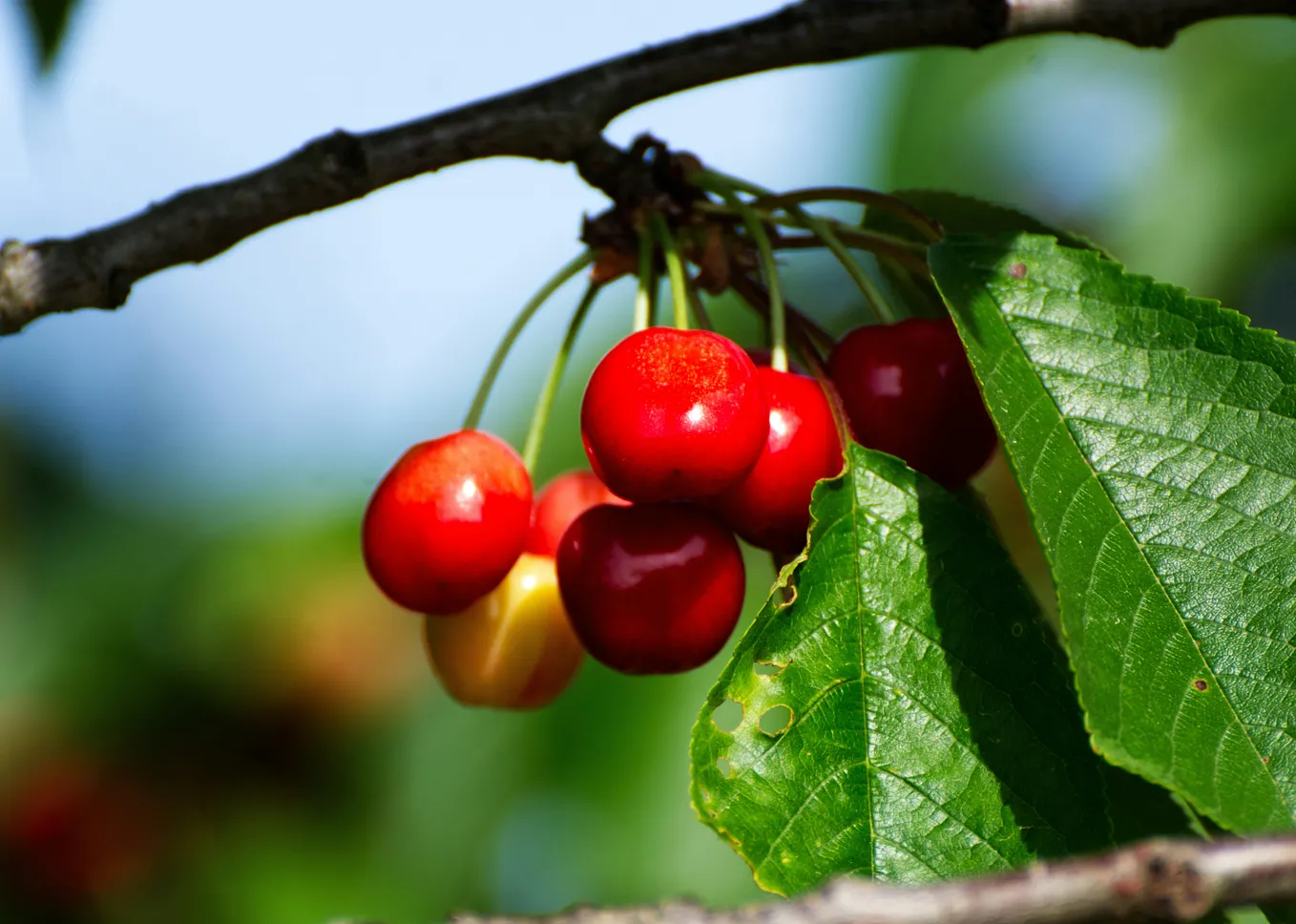 Part 6: JavaScript Functions → Returning Functions from Functions | by Mahendra Choudhary | Medium