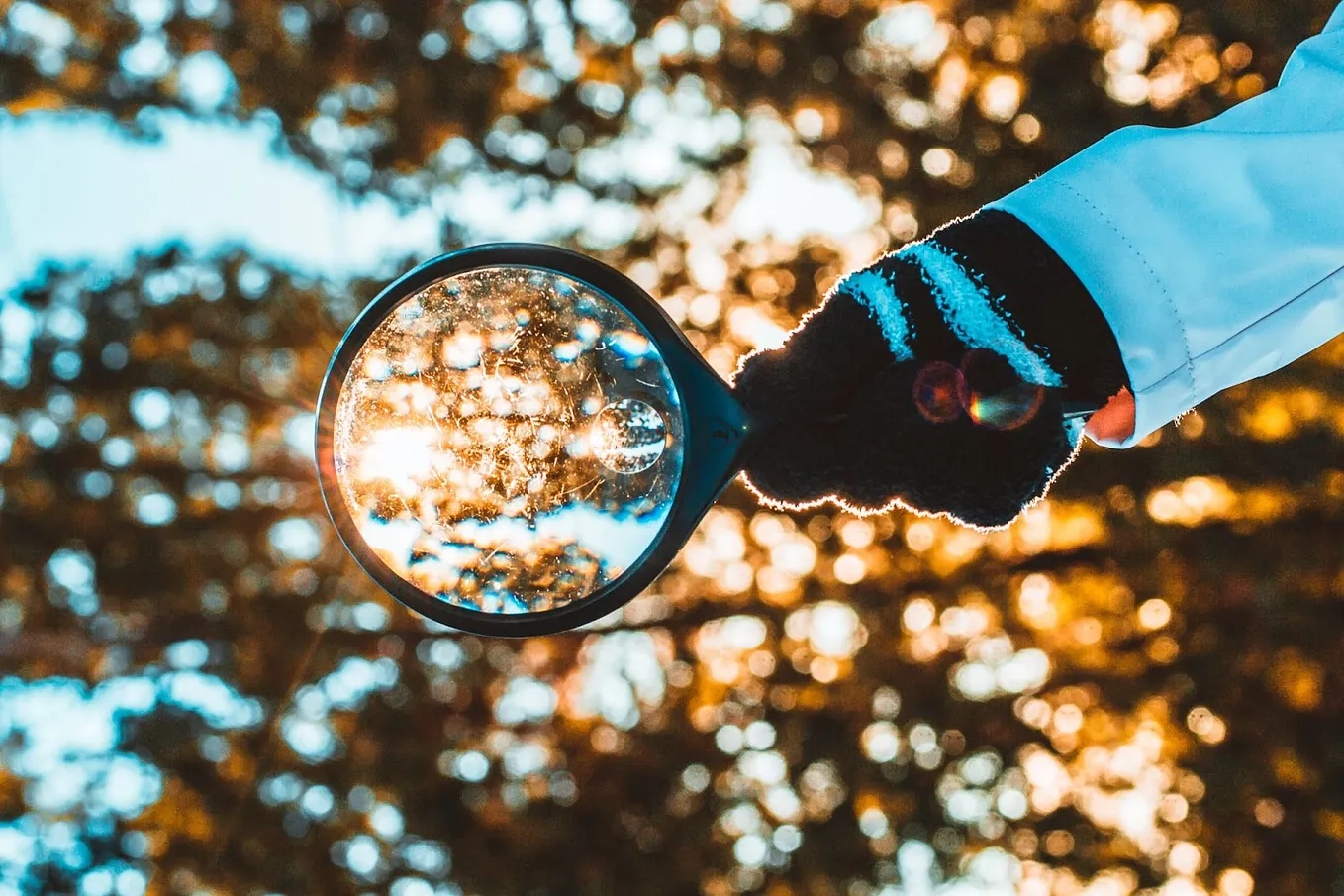 All you need to get started with Twitter API v2 using Python | by Sofia Pinto | Data science at ...