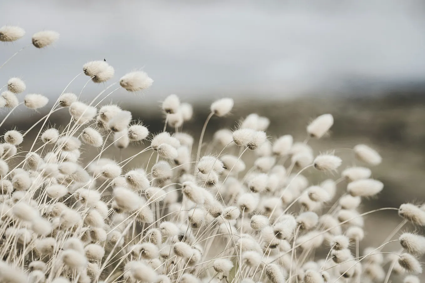 Collaborative Development in Snowflake: How to Set Up Workspaces | by ...