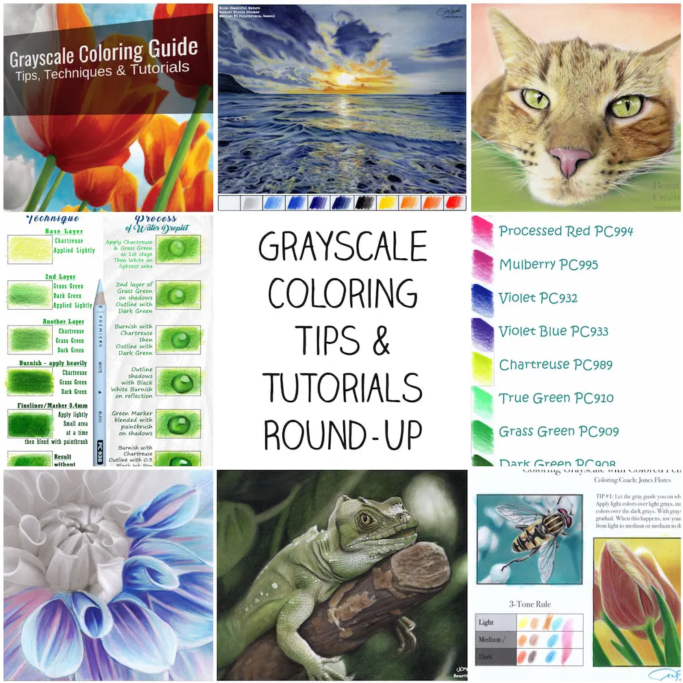 Choosing Colors, Applying Color Schemes and Seeing Their Impact | by ...