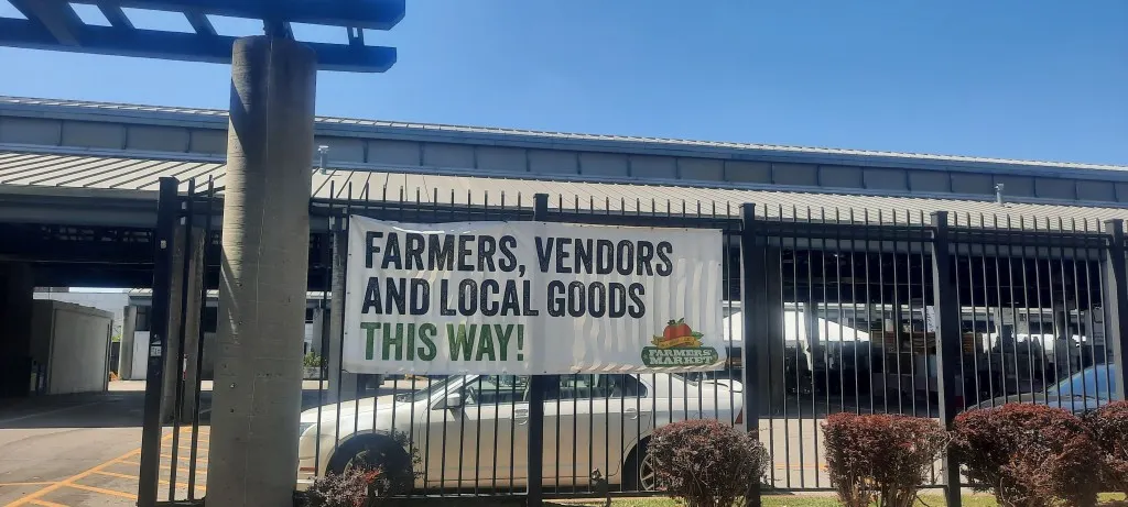 Convert Excel to Text or Text to Excel with Python | by Alice Yang | Medium