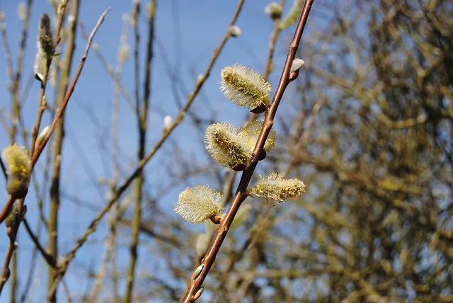 Java Debug Guide: How to “step back” in IntelliJ | by datatec.studio | Java MVP | Medium