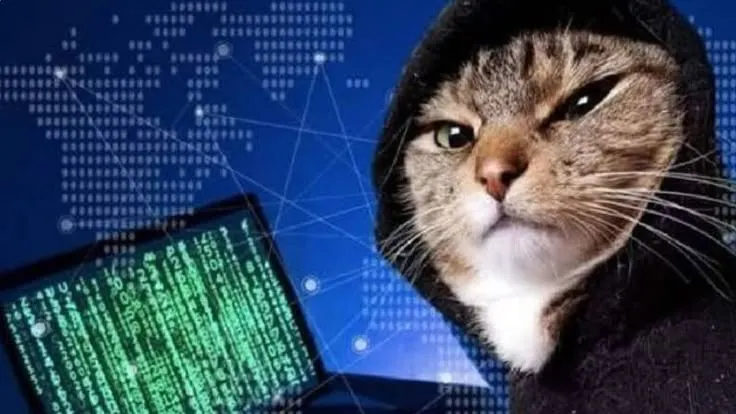 My Experience with the Mercor AI Interview for a Software Engineering ...
