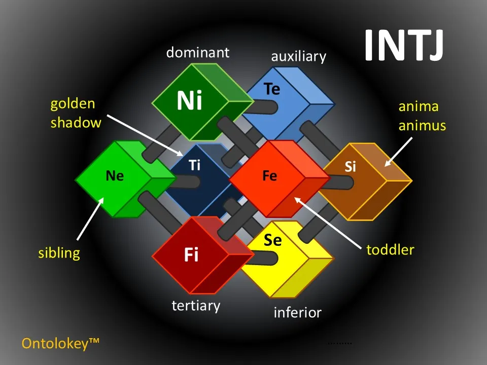 16 personality types ranked in rarity | Is INFJ still the rarest type ...