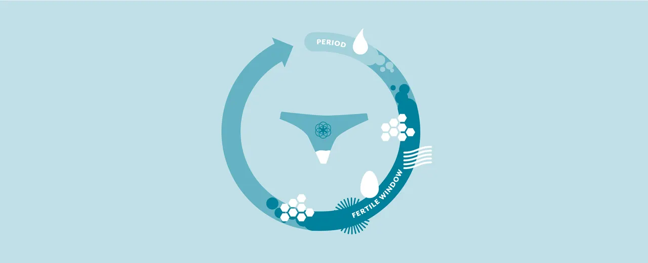 Why do menstrual cycles vary?. Menstrual cycles are dynamic. They can ...