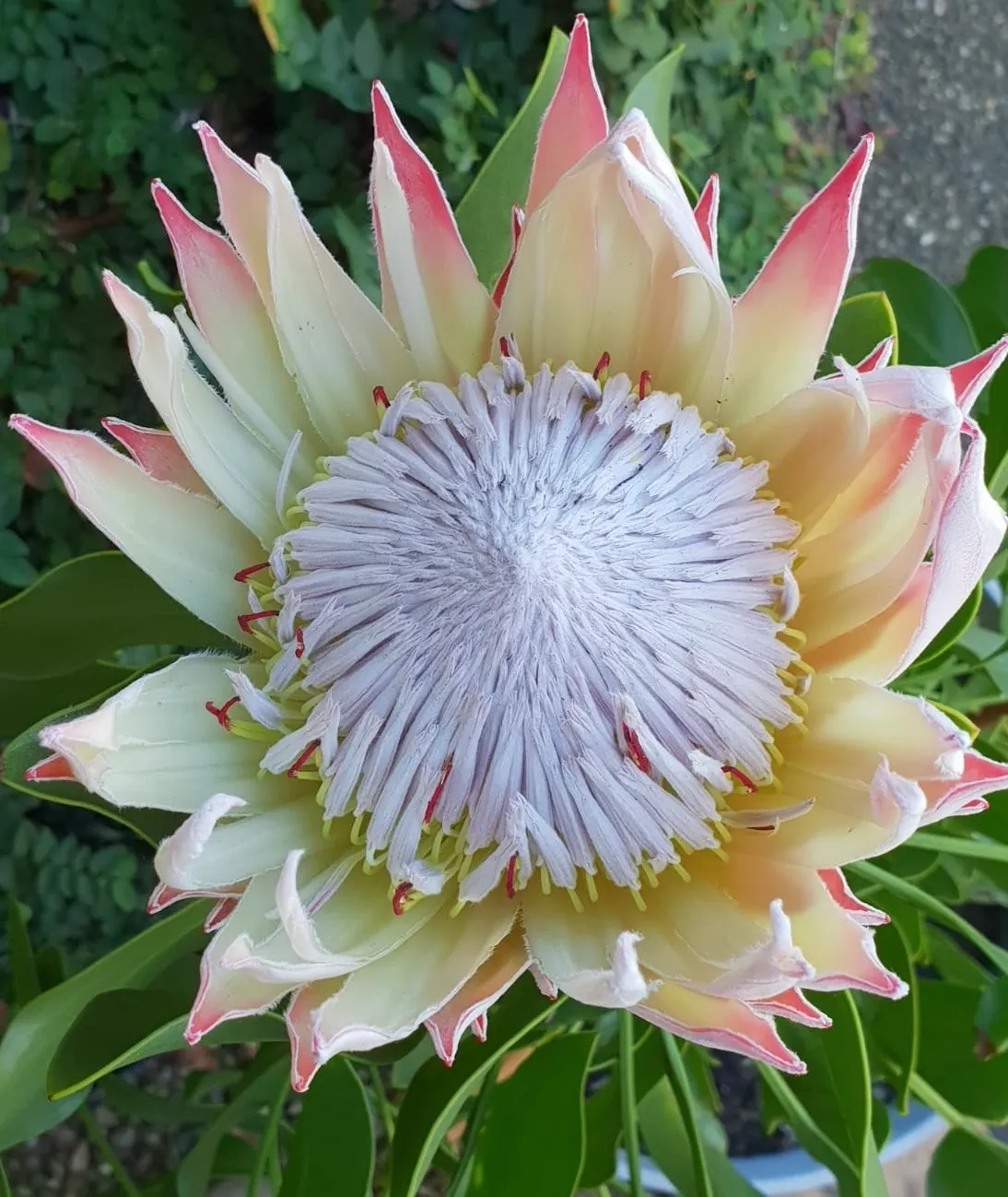 How to Reduce Emotional Pain and Reconnect with Love and Light | by JoAnn Ryan | Kaleidosphere ...