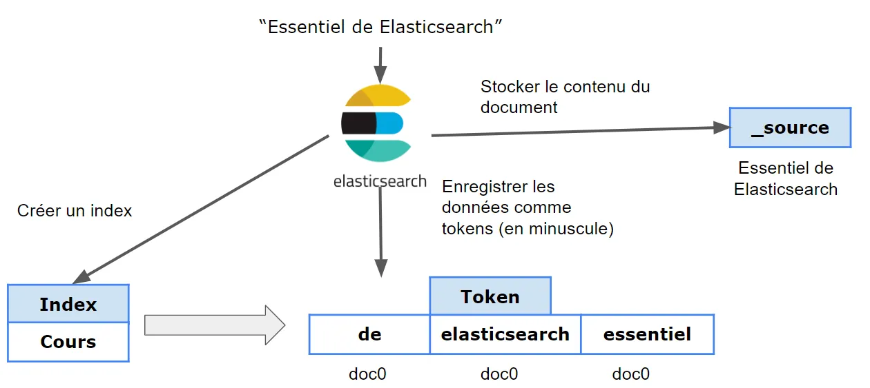 Setup GraphQL using Python with FastAPI and Strawberry | by Ibtissam ...