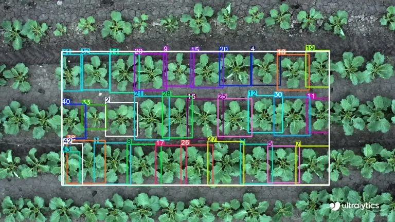 Ultralytics YOLO11: Object Detection and Instance Segmentation🤯 | by Muhammad Rizwan Munawar ...