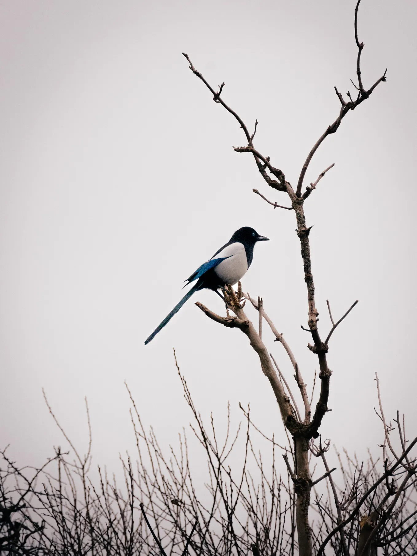 Generative AI Meets Data Warehousing: | by AI & Insights | Nov, 2025 ...