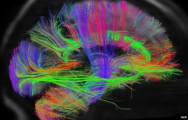 BrainChip’s Akida: Neuromorphic Processor Bringing AI to the Edge | by ...