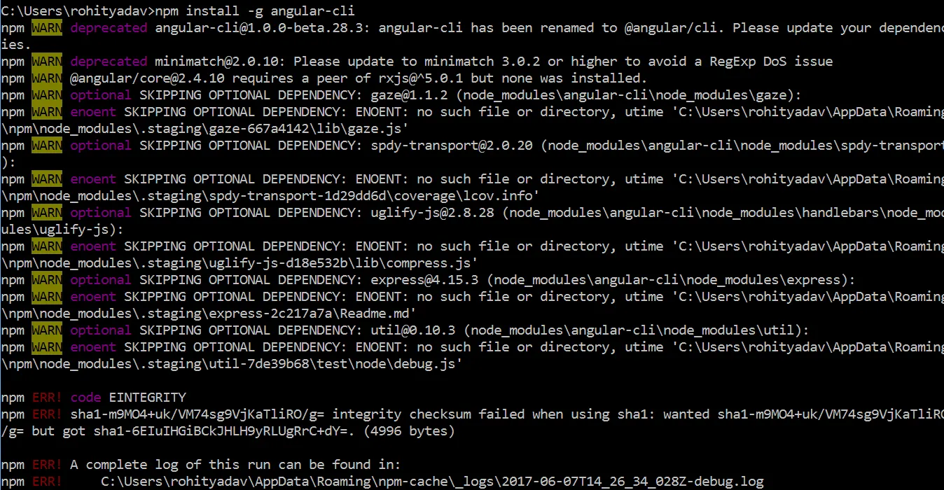 Installing Dependencies with npm install | DevSphere