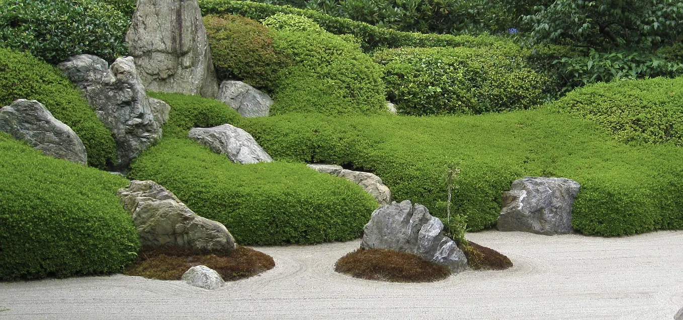 Passing Json Objects To C Mvc Controllers Via Ajax By Mark Entingh Medium