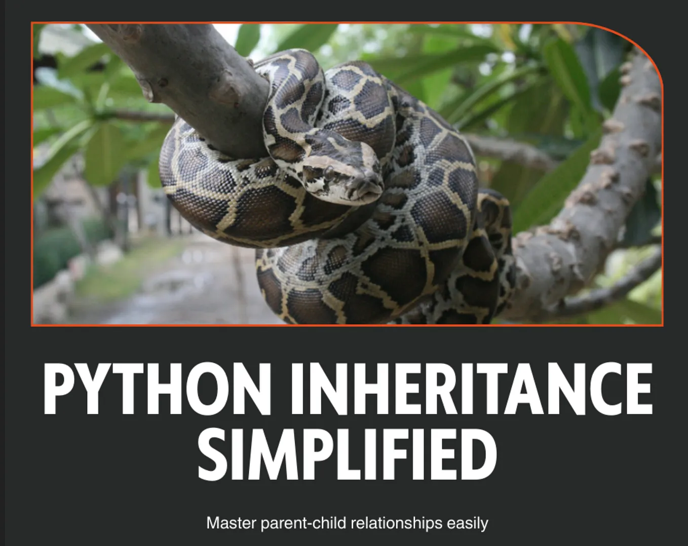 Simplified Python’s Reference Handling: Understanding Object Referencing, Deleting References ...
