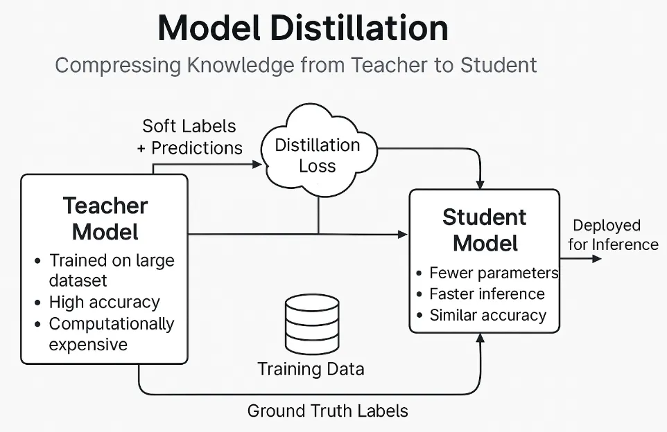ML vs LLM: What is the difference between Machine Learning and Large ...