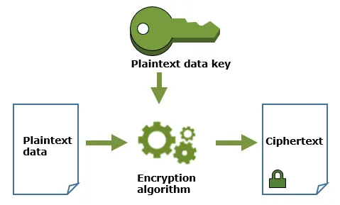 Generating BlurHash Strings and Creating Blurred Placeholders with Node.js | by Mohammed ...
