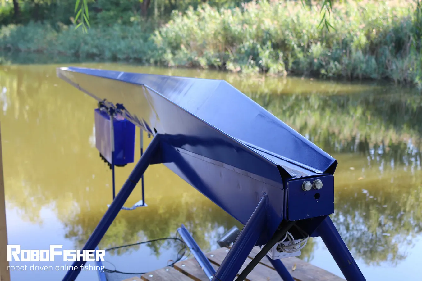 10 Useful Tips to Help Beginners Start Fishing | by Robofisher's Club ...