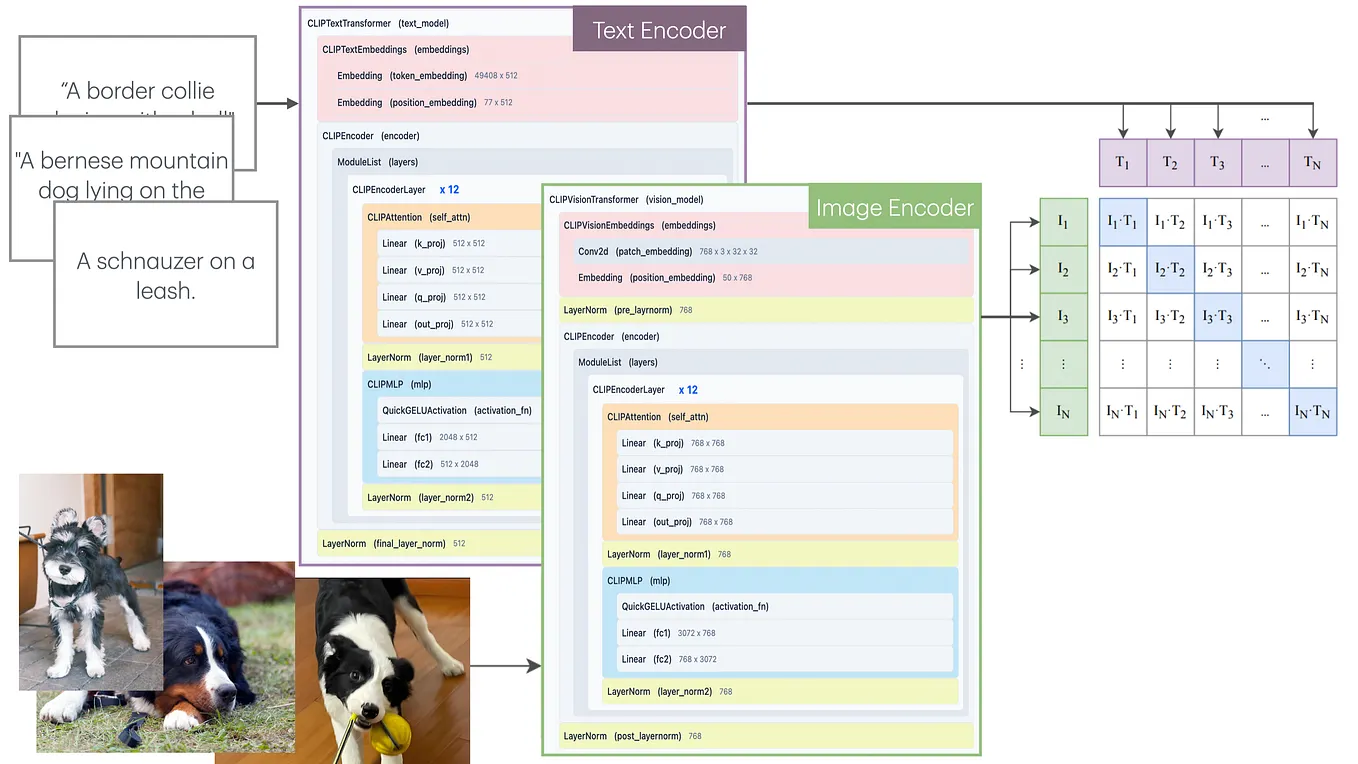 Visualizing DINOv2 contrastive learning and classification examples | by Erik Taylor | Digital ...