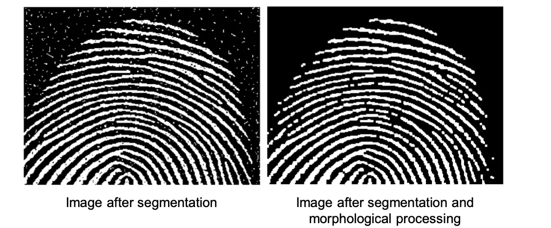 What is Sampling? | Image Processing #6 | by Gökçenaz Akyol | Medium