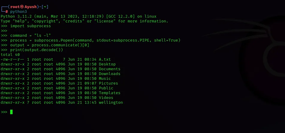 Creating Your Own API in Python: A Beginner’s Guide | by Ayush Sharma ...