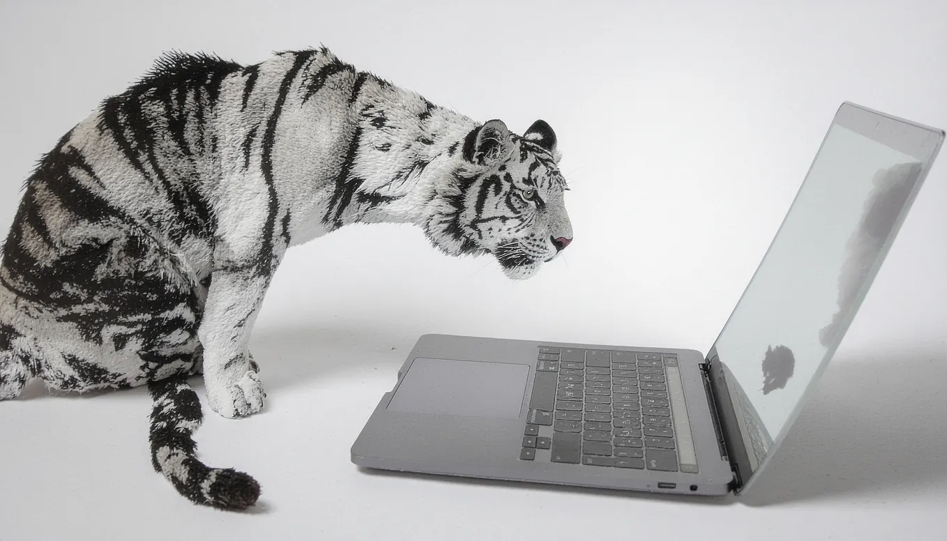 The Best Code Formatters for VS Code | by Thiraphat Phutson | Medium