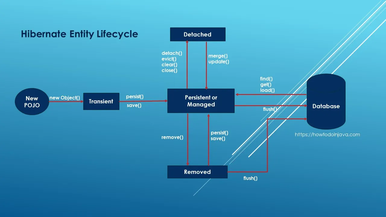 Hibernate with First-Level and Second-Level Cache — A Comprehensive ...