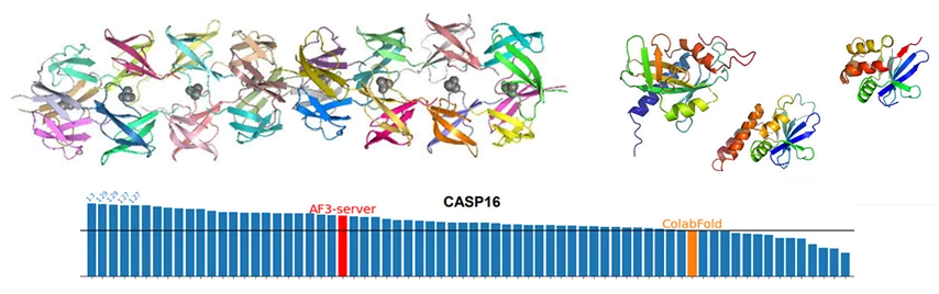 How to predict protein structures with AlphaFold 2 using ColabFold | by ...