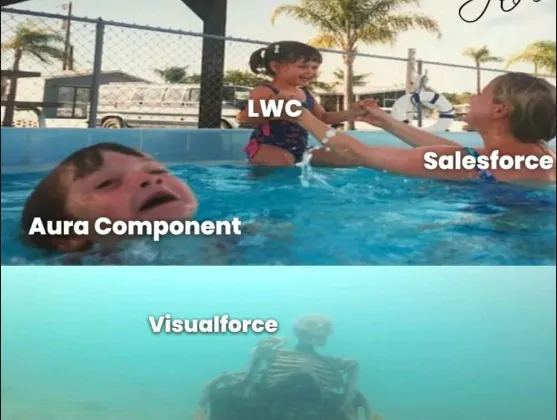 Lightning Input LWC Example. Lightning Web Components (LWC) is a… | by ...