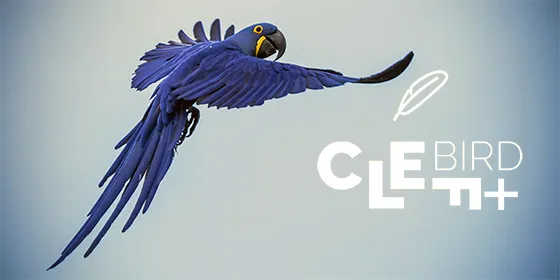 My Competition Summary: CMI — Detect Behavior with Sensor Data | by ...