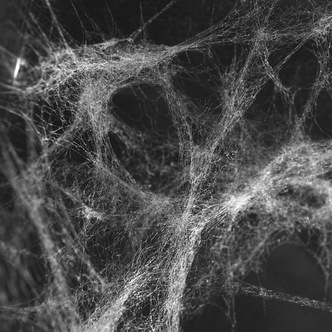 Knowledge Graph Extraction And Visualization With Local Llm From Unstructured Text A History