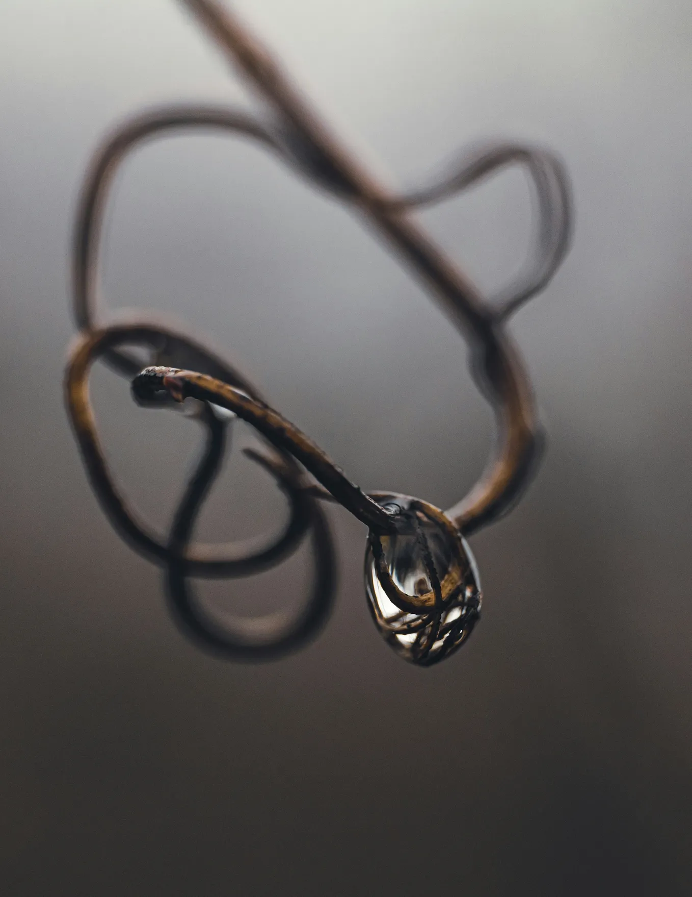 Pieces.. The world is so full that words are… | by Black on white ...