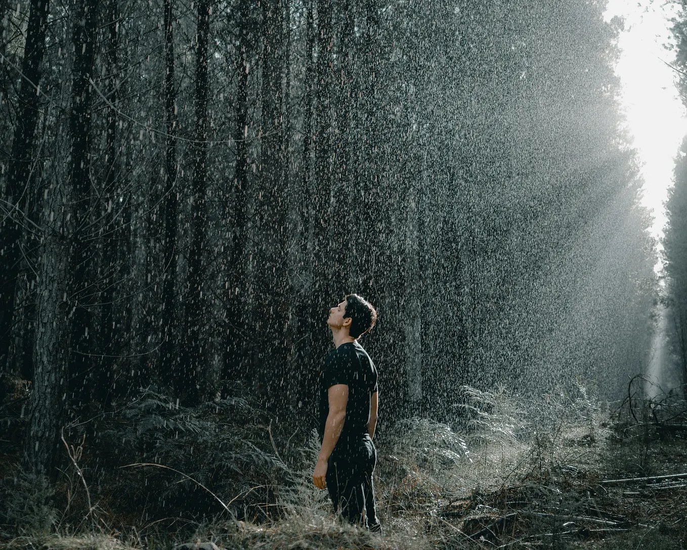 🌿 Slow Living and Mental Health: When Destiny Asks You to Slow Down ...