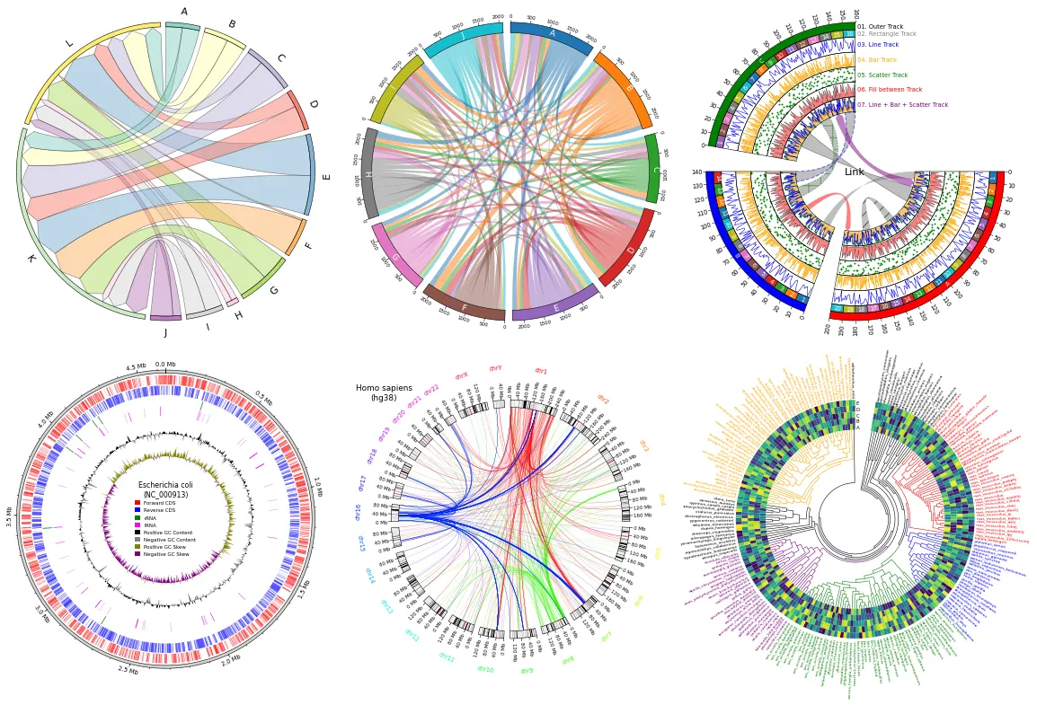 Easiest Way to Plot a Radar Chart in Python | by moshi | Python in ...