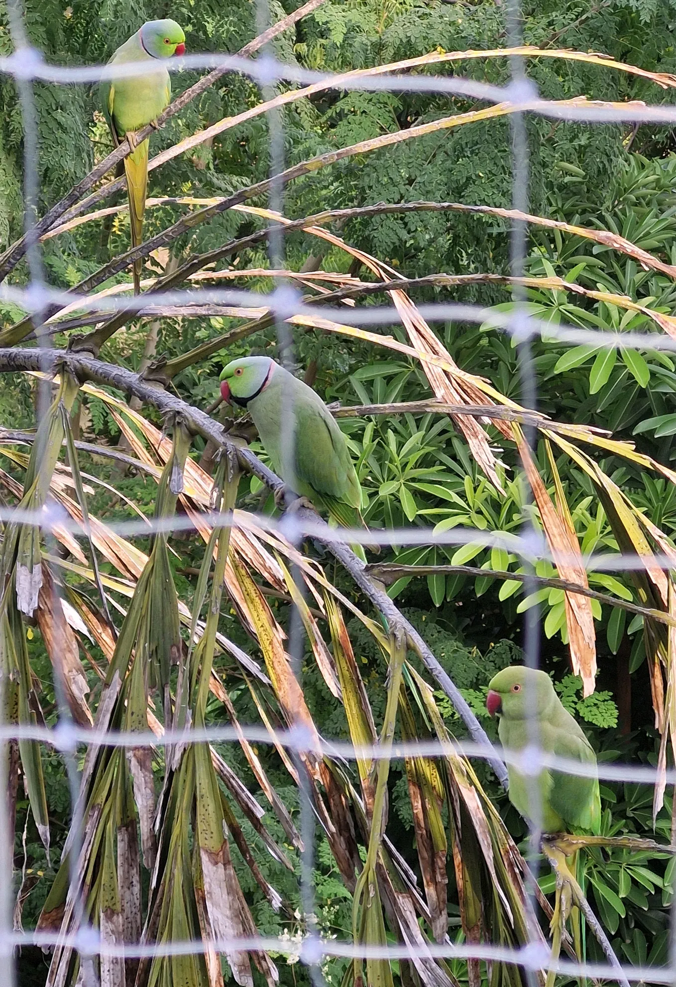 Deeply honoured and humbled, Anthea! 🌻 - Moon & Deep - Medium