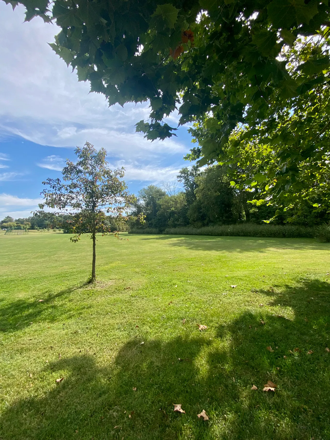 Considering College Composition. I’m wrapping up my first semester as a ...