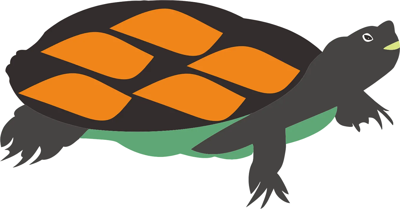 Turtle Finance Airdrop Announcement - Turtle Finance - Medium