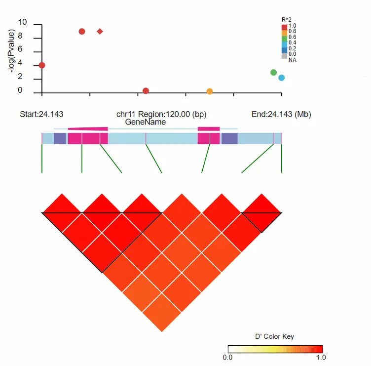 Evaluating the Quality of GWAS Results Primarily Depends on the QQ Plot ...