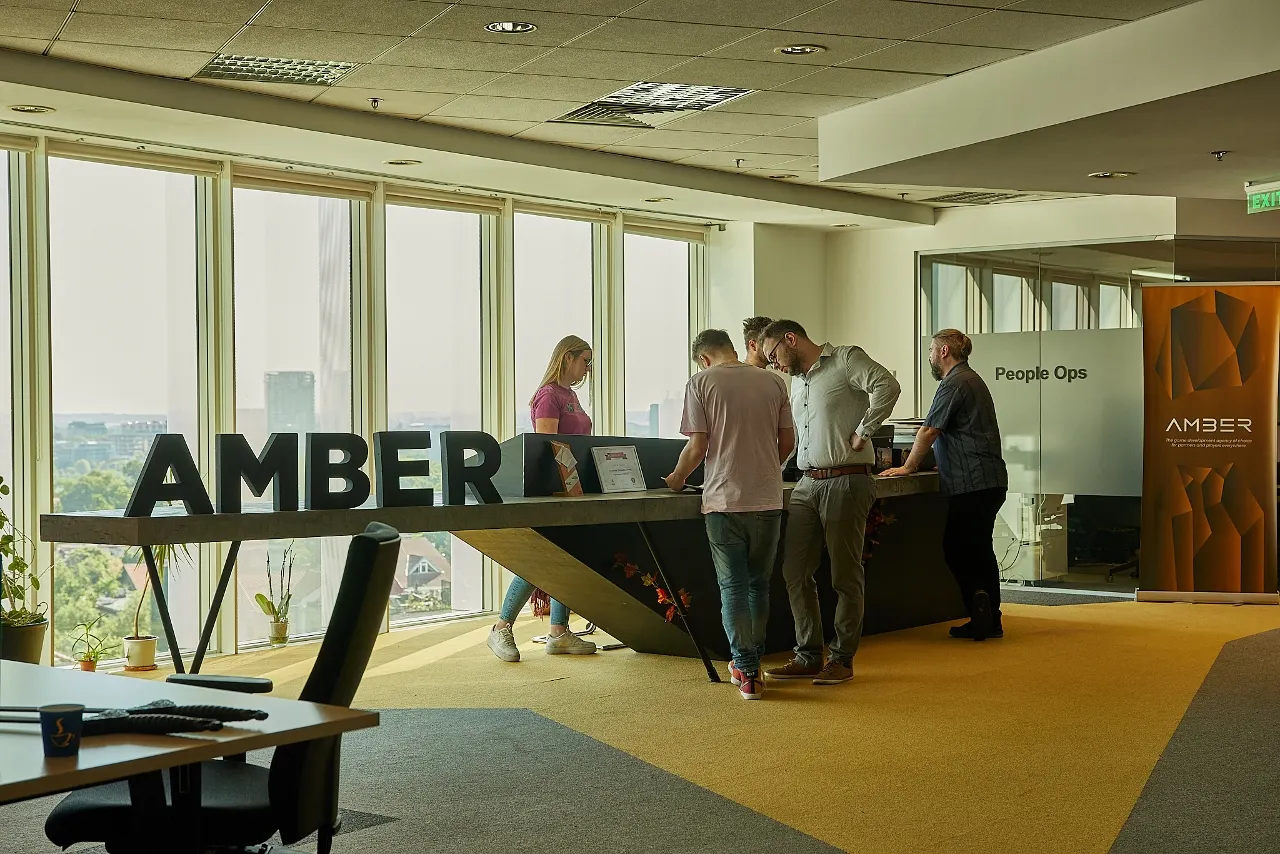 Key AMBER initiatives. Learning — Innovation — Diversity | by Jacint ...
