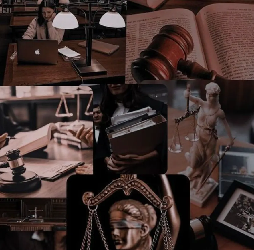 🎀🫶🏻💌💓Chatlaw: A Large Language Model-based Multi-Agent Legal Assistant ...