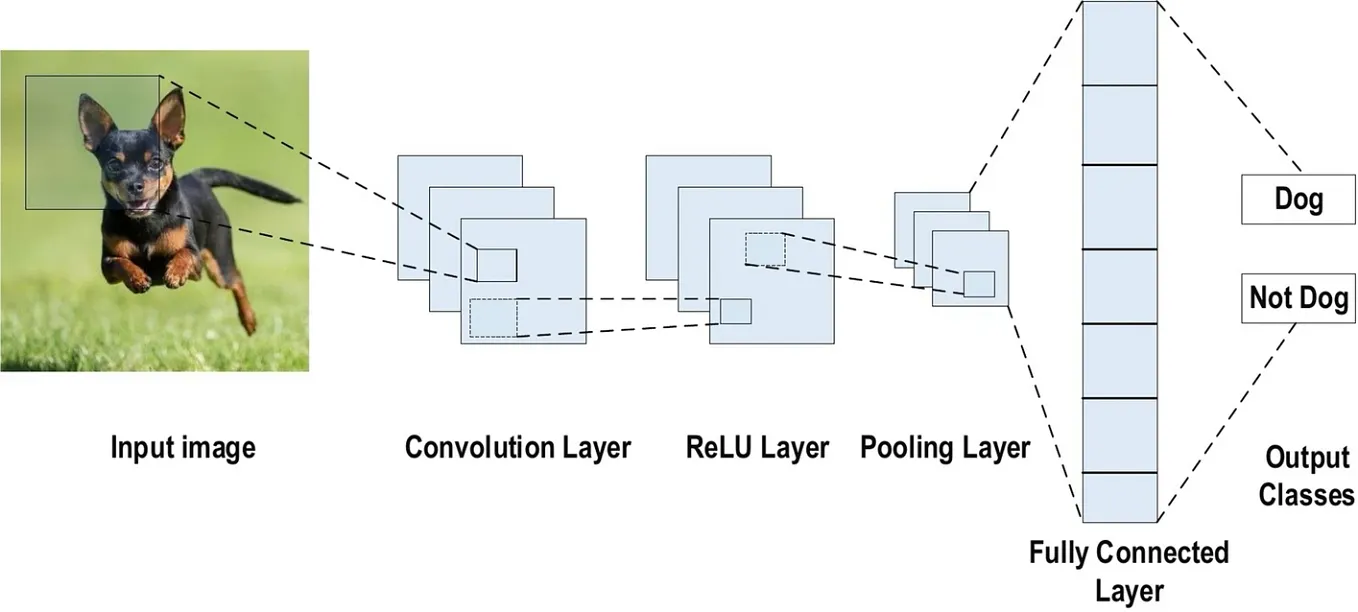 Understanding Neural Network: Forward and Backward Passes Explained | by TensorTales 🐙 | Medium