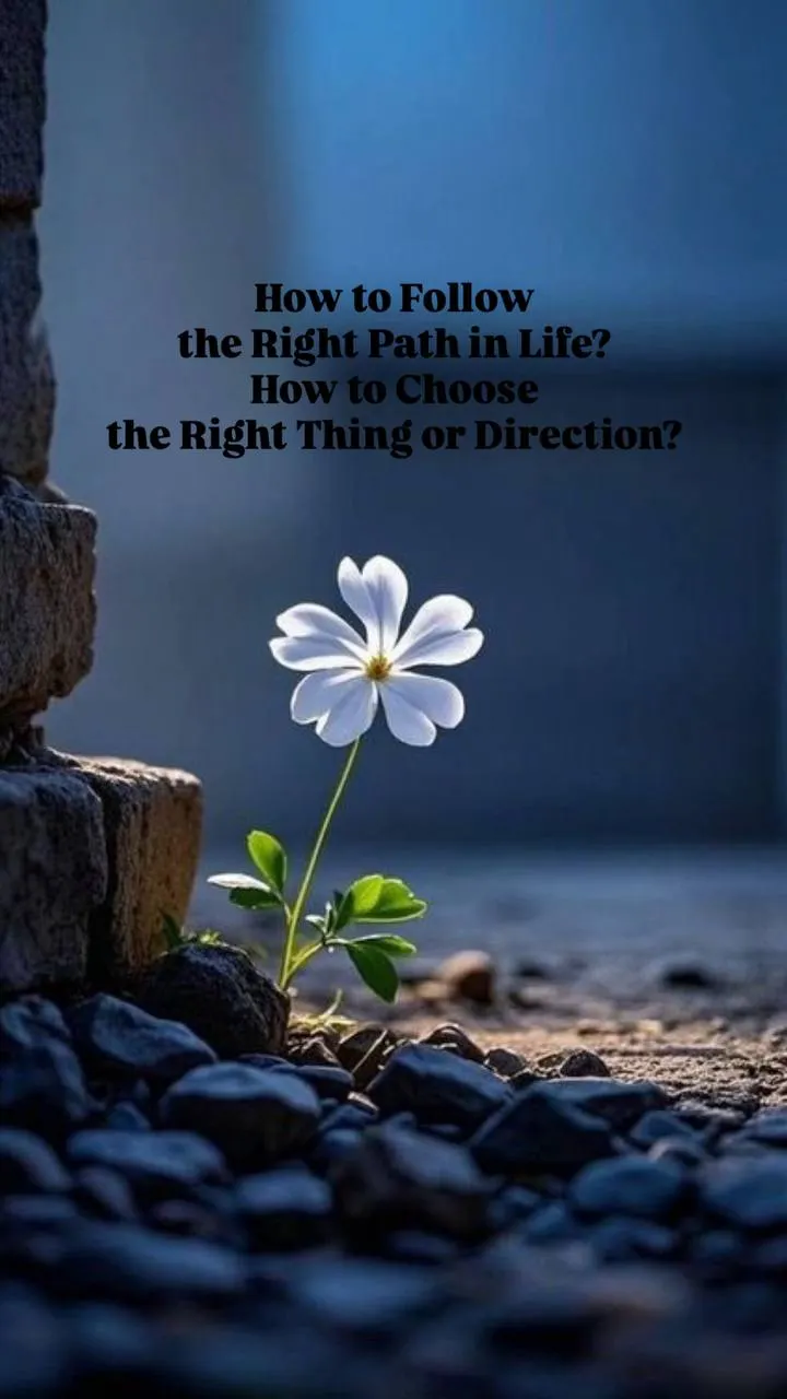 How to Follow the Right Path in Life? How to Choose the Right Thing or ...