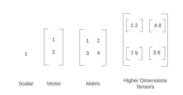Understanding Increment and Decrement Operators in Programming | by ...