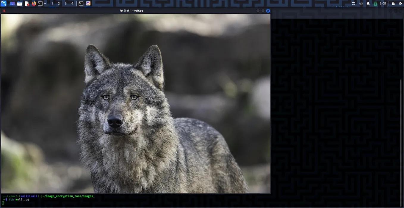 My Final Internship Task: A Controlled Keylogging Experiment | by ...