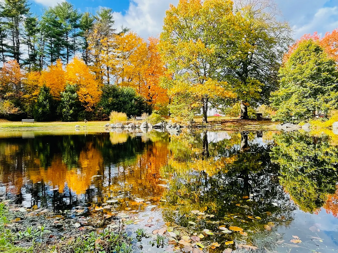 I always find writing an analysis of the art I'm seeing re-energizes me ...