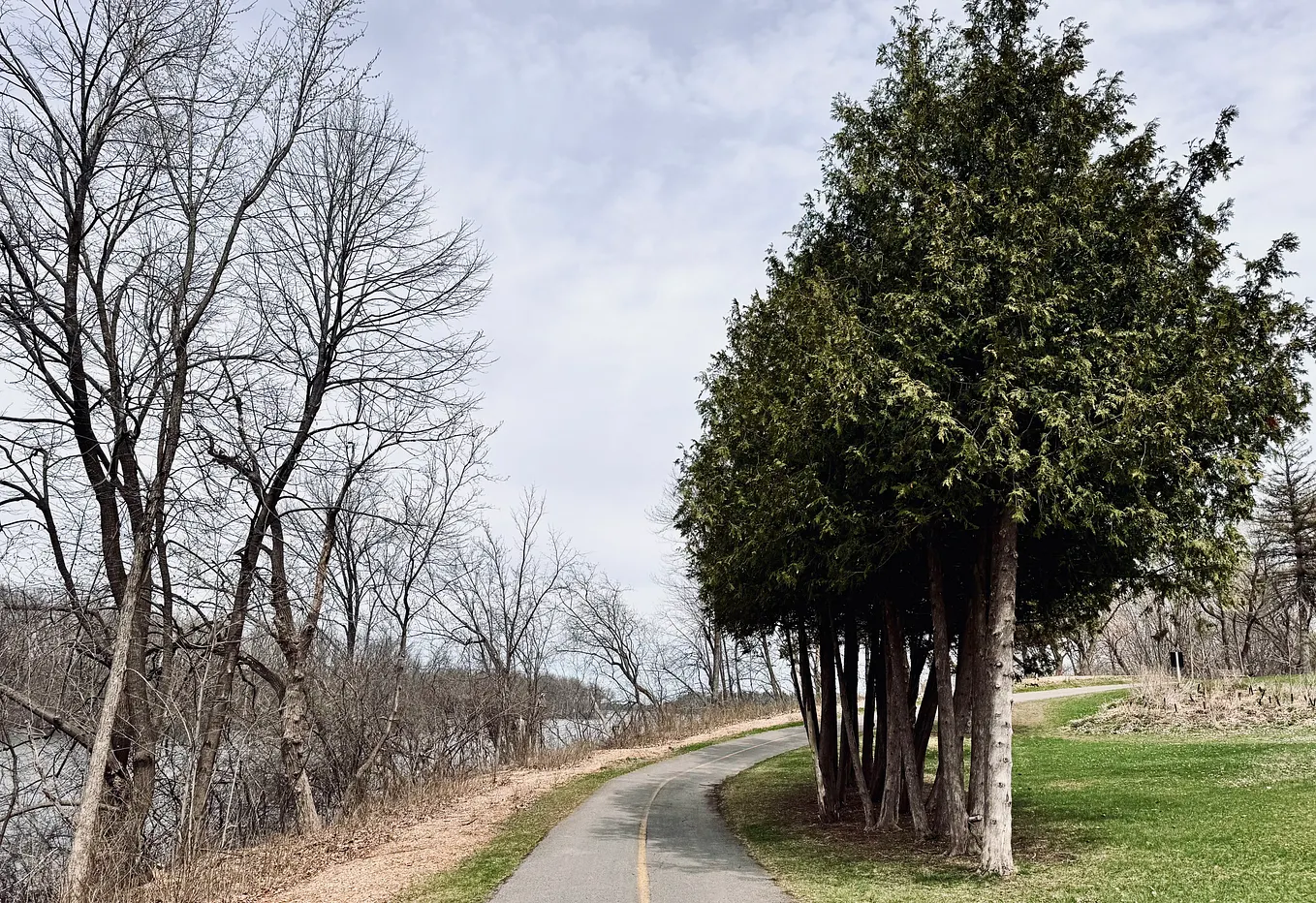 How To Run Jupyter Notebooks On An Hpc Cluster By Afifs Log Medium