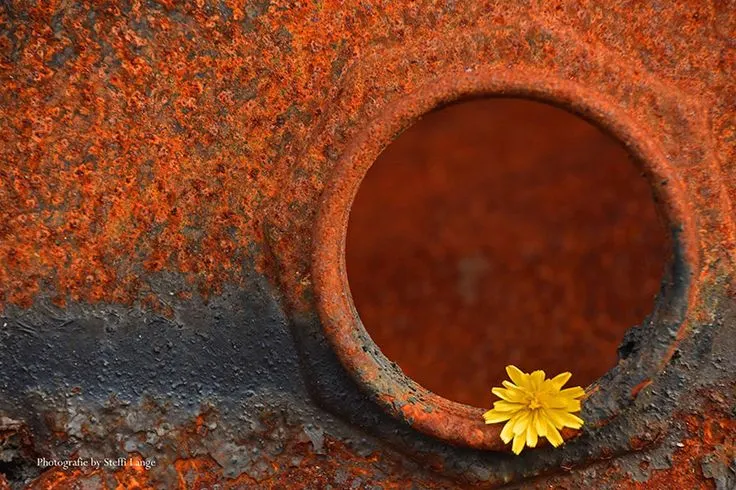 Introduction to Ownership in Rust | by Shobhit Asati | Medium